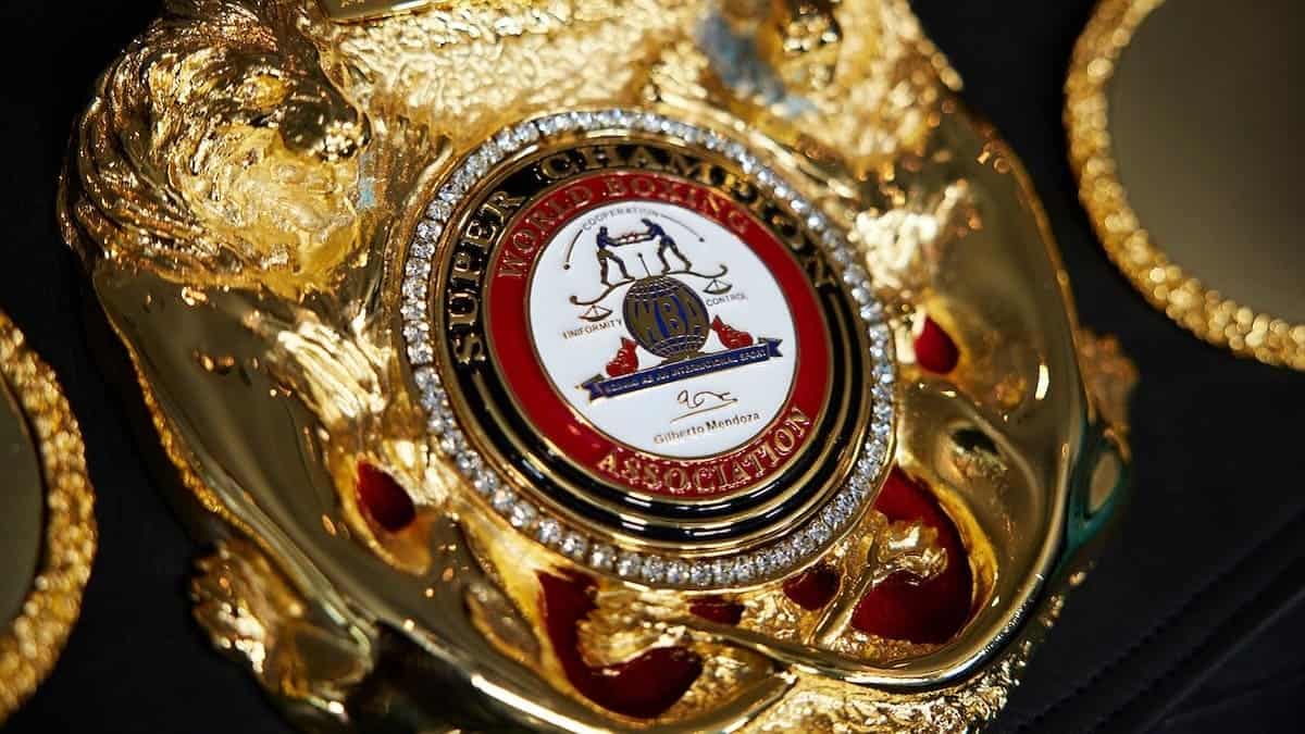 Heavyweight discombobulation as WBA order 'final eliminator' - World ...