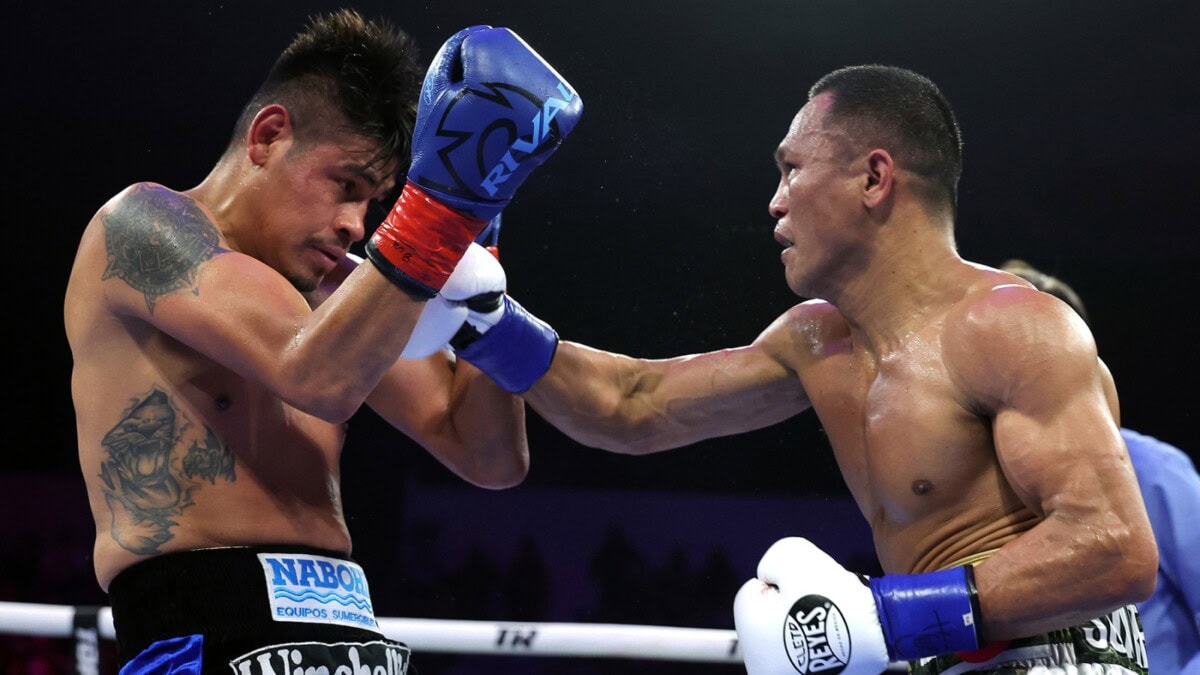 Boxing Results | World Boxing News