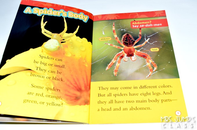 Spider informational text activities