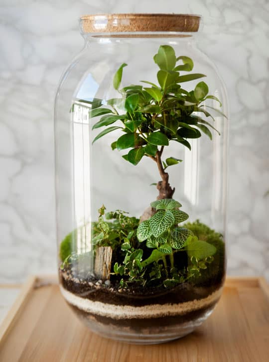 Elite 3E Tools, Templates & Managed Service Packages for Law Firms