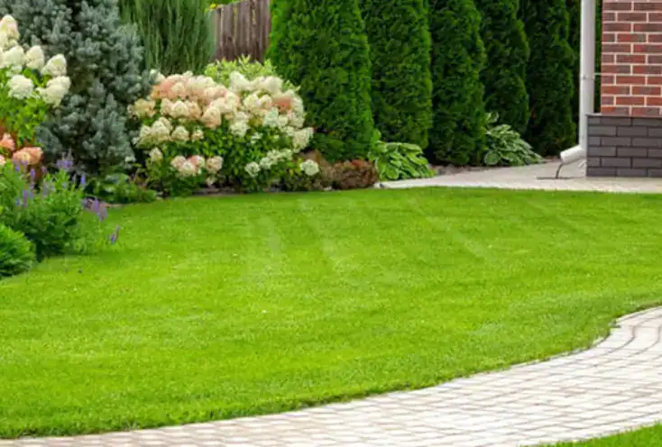 Evergreen Lawn & Pest Control Company in Florida