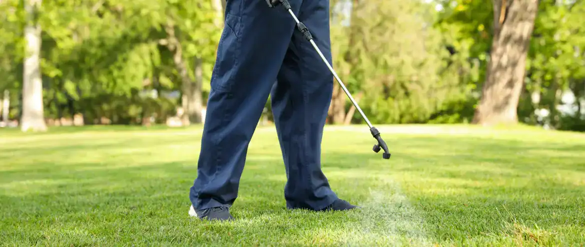 About Evergreen Lawn & Pest Control: Florida Experts | Who We Are