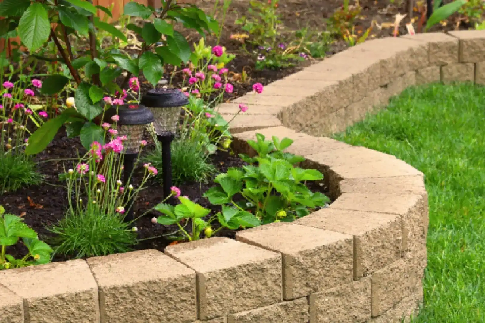 Evergreen Lawn & Pest Control Company in Florida