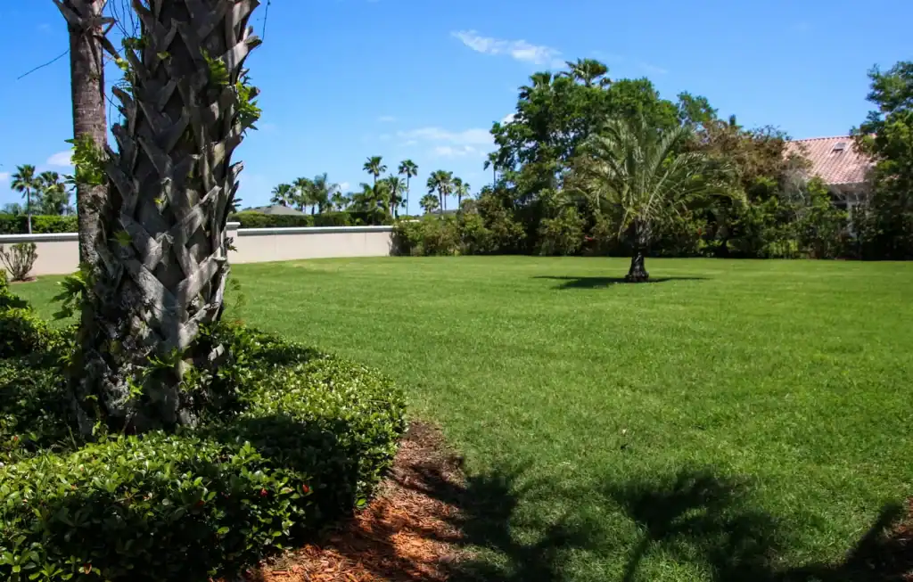 Evergreen Lawn & Pest Control | Apopka