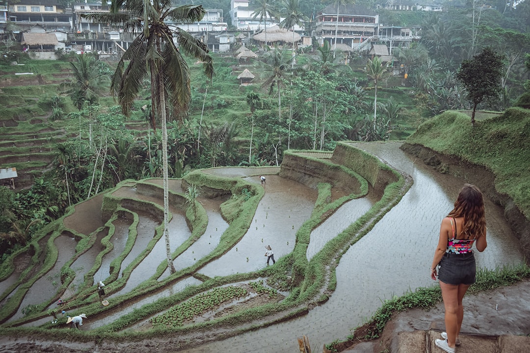 Bali Rice Fields: 11 Best Rice Terraces You Should Visit