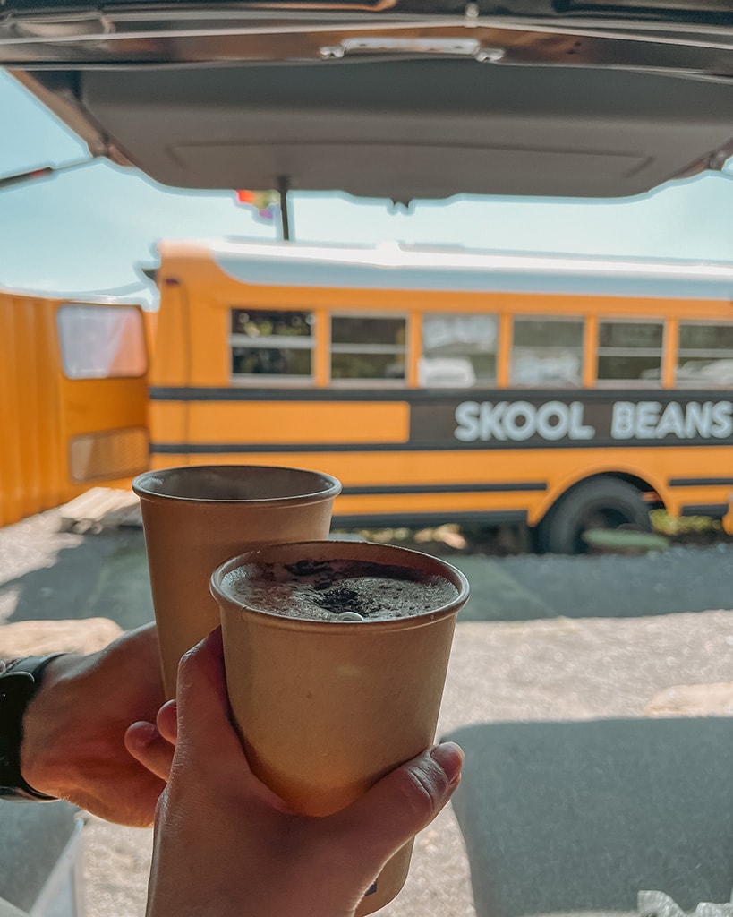 Vegan Food in Iceland: The Best Ring Road Guide