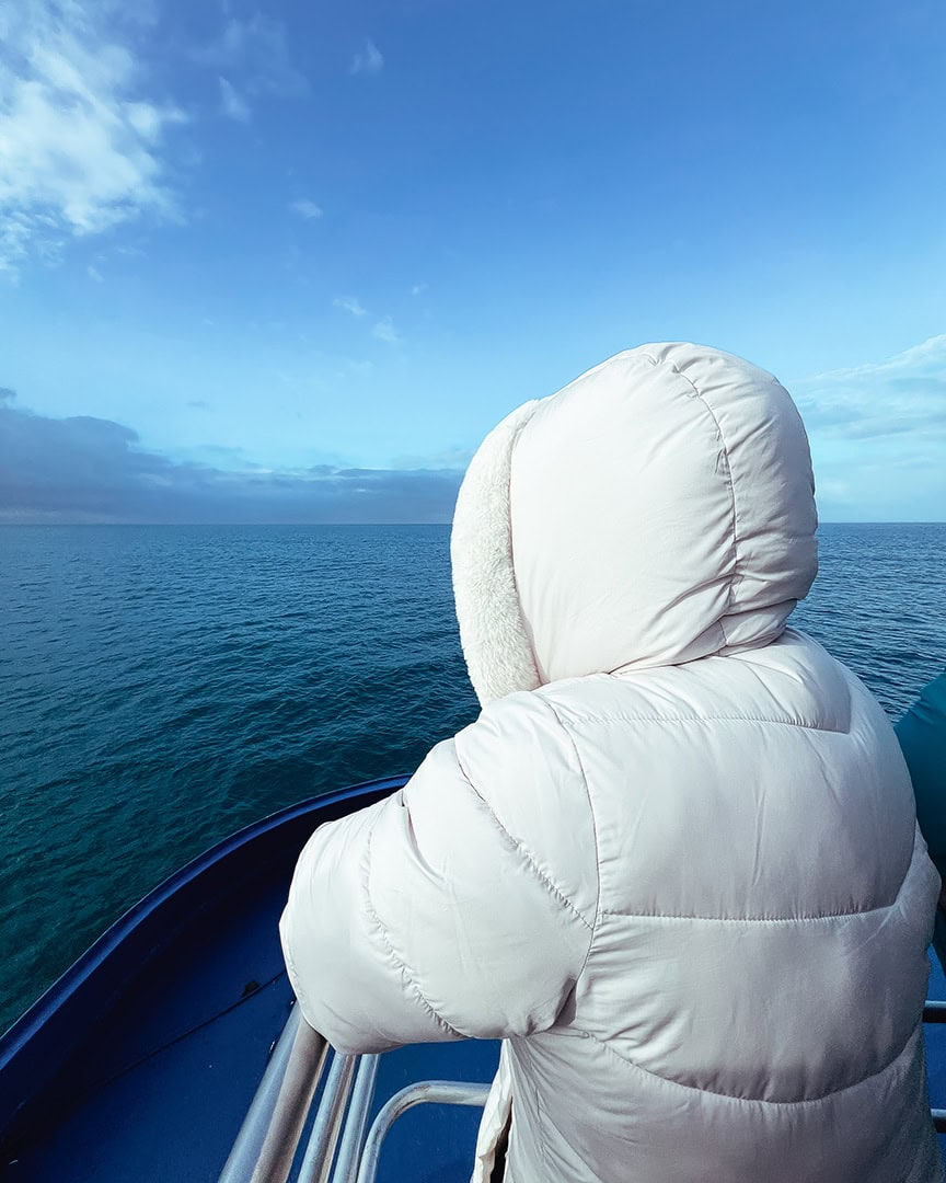Special Tours Whale Watching Reykjavik: Responsible Tour Review