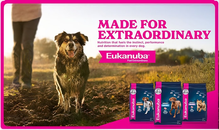 Eukanuba reimagines premium dog food with performance and wellness ...