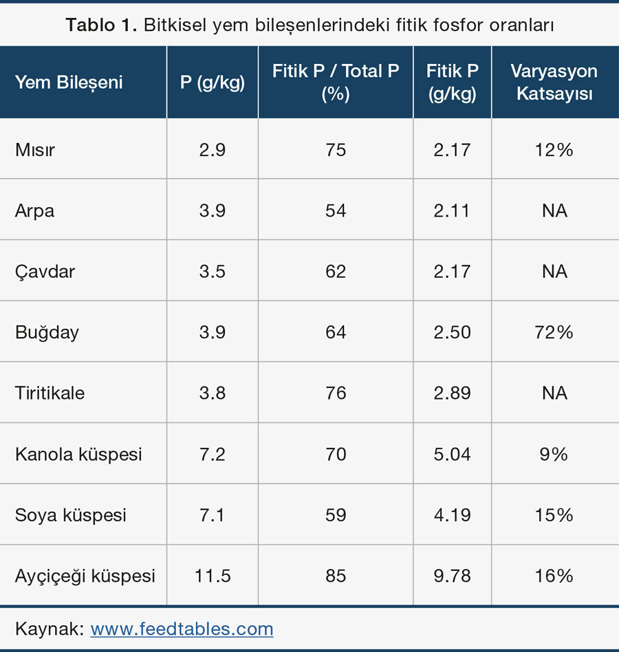 Hayvan beslemesinde fosfor ve kalsiyum dengesi - Yem & Katkı Dergisi