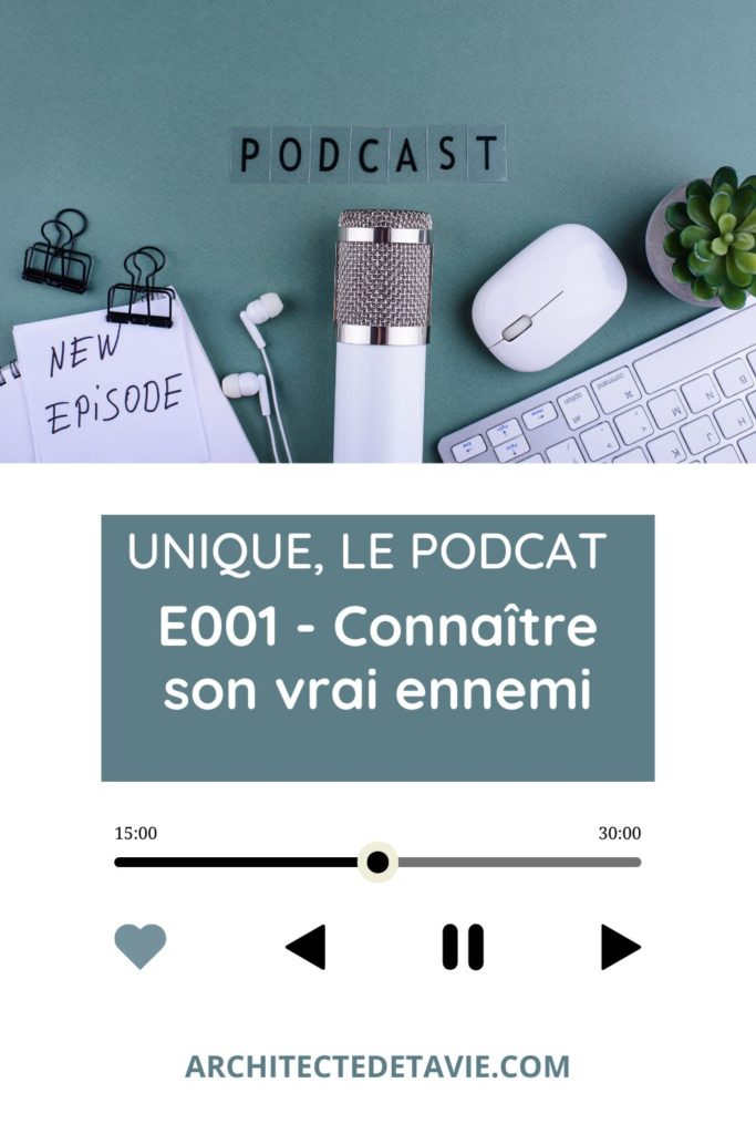 Connaître son vrai ennemi : soi-même