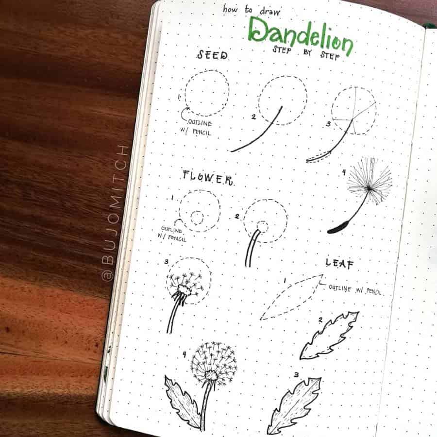 17+ Easy Spring Flower Drawings
