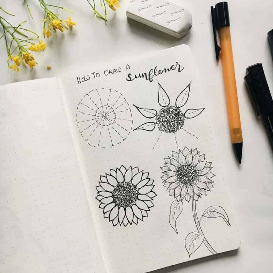 17+ Easy Spring Flower Drawings