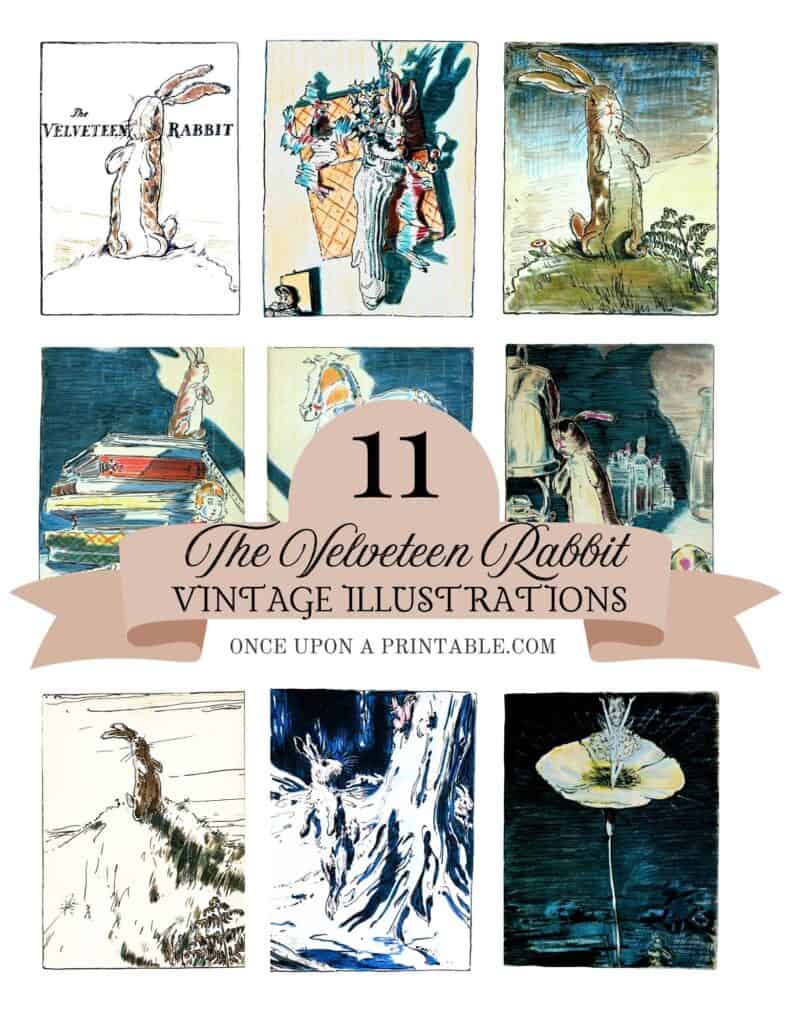 Vintage The Velveteen Rabbit Illustrations (Free to Print) - Once Upon ...