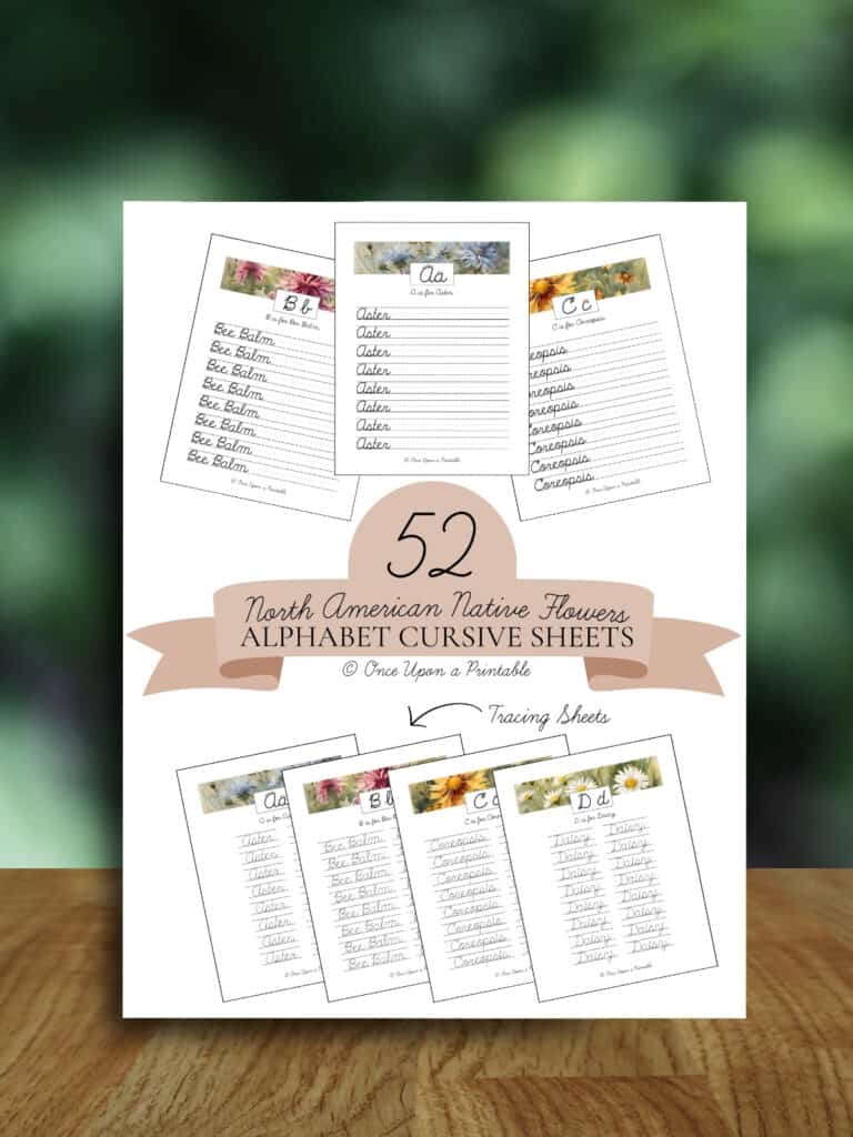 North American Wildflower Cursive Worksheets (Free to Print) - Once ...