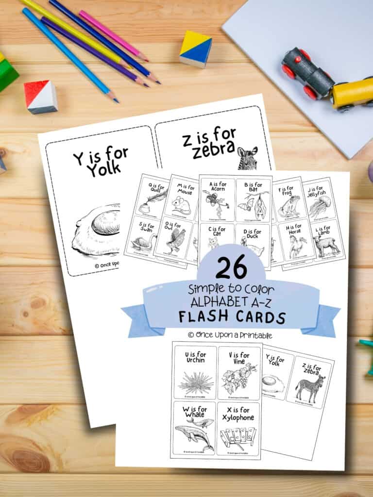 Alphabet Flashcards for Coloring (Free printable) - Once Upon A Printable