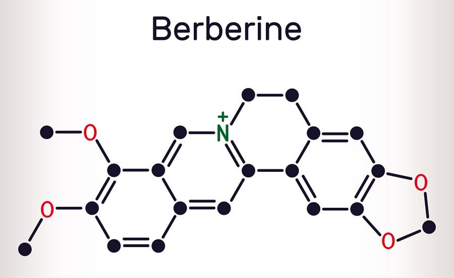 What is Berberine? Benefits, Dosage, and Risks