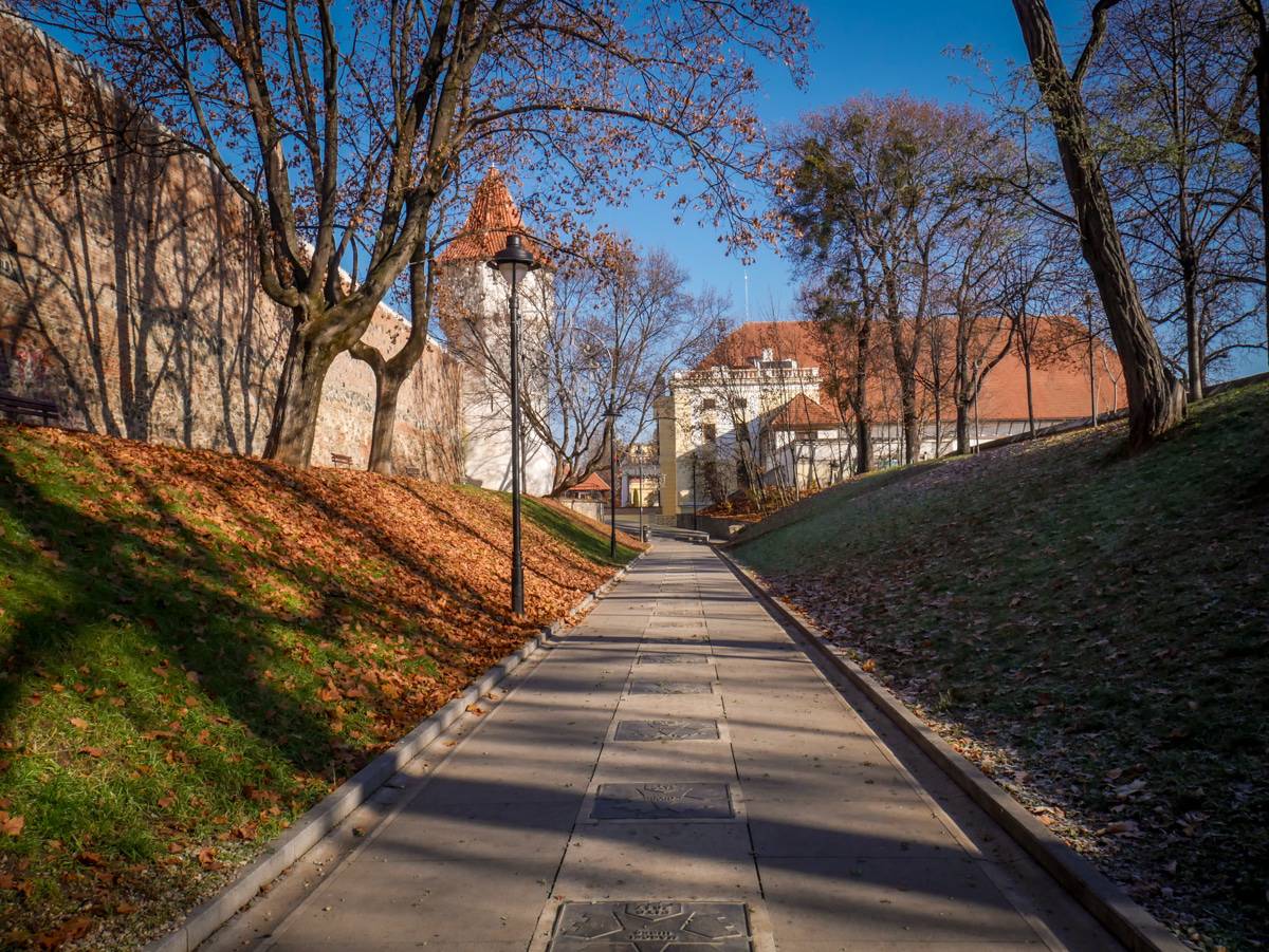 Sibiul are unul dintre cele mai mari și mai vechi parcuri din România