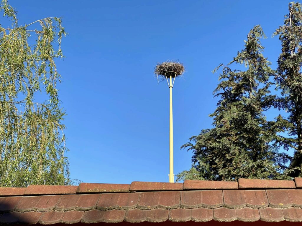 FOTO Cuiburi pentru berze, construite de un bărbat la Poplaca ...