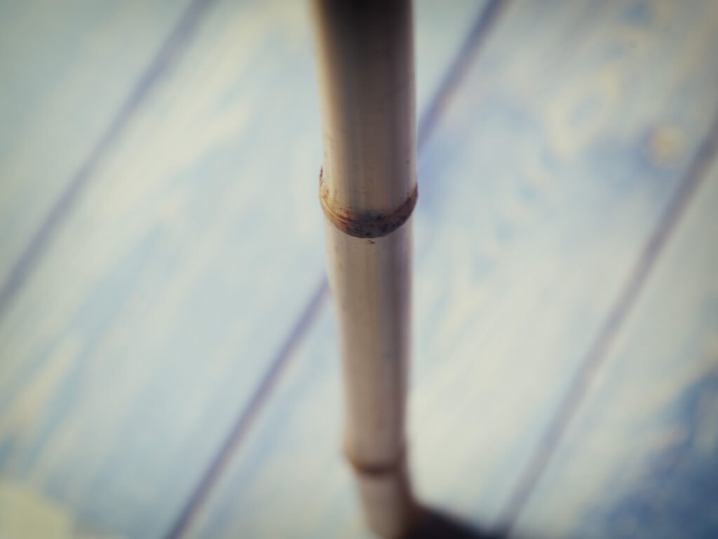 Spanking Bamboo Cane | Tess Tesst