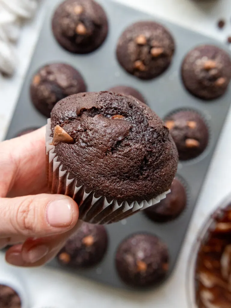 Bakery-Style Double Chocolate Muffins: Tender, Moist Recipe
