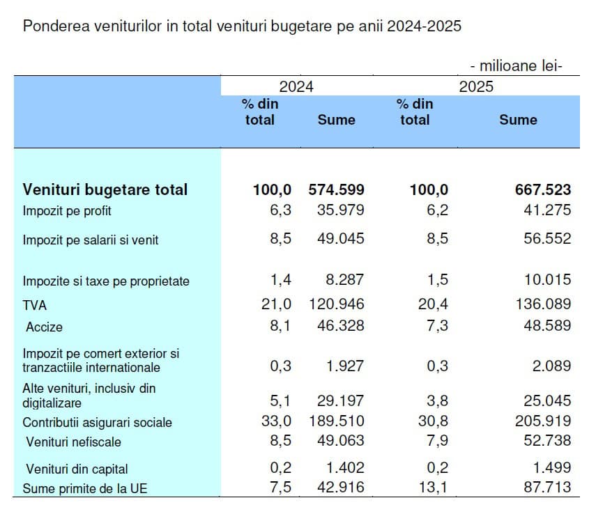 Buget 2025: Principalele coordonate privind veniturile și cheltuielile. Ce, cât, cum pentru ...