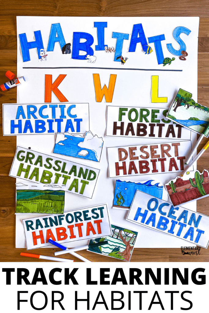 5 Fun Habitats Activities, Lessons, Books, Projects For Kids