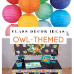 Simple Ways To Make An Owl Themed Classroom