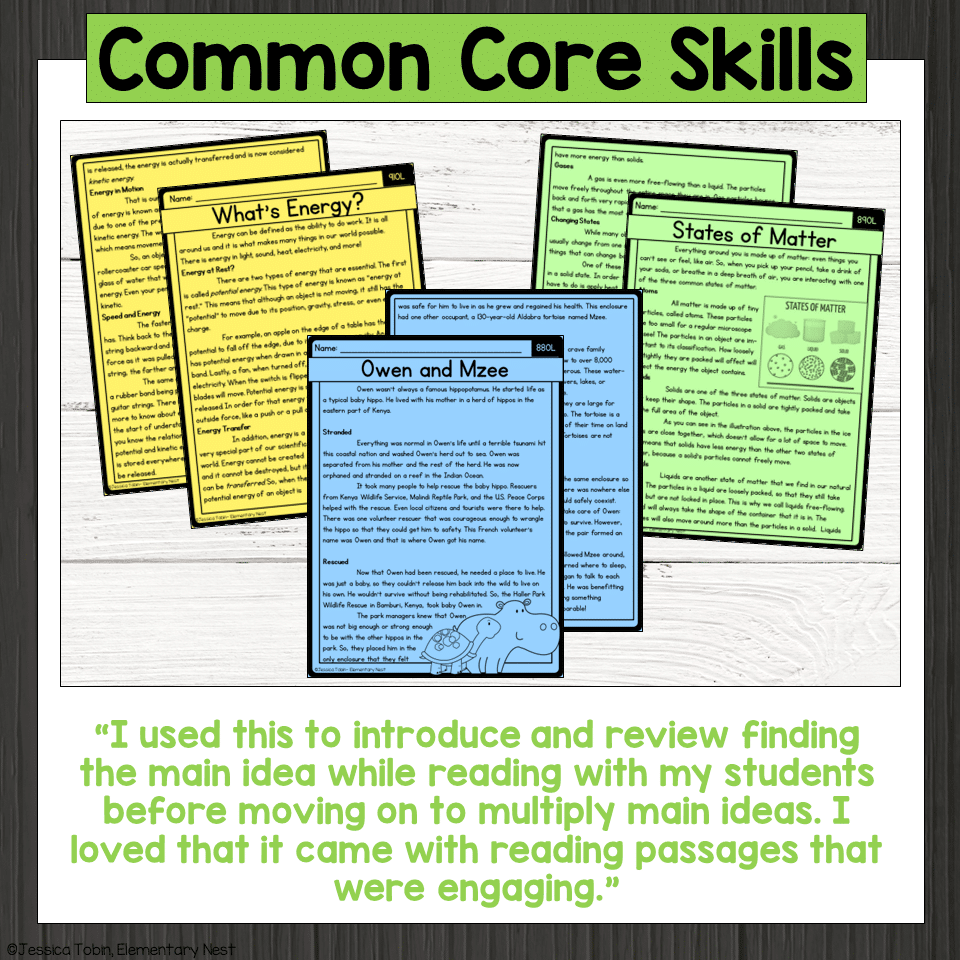 4th Grade Reading Comprehension Main Idea Worksheets Reading