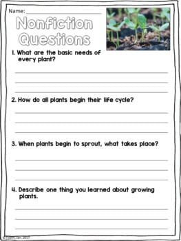 Jack And The Beanstalk Paired Passages