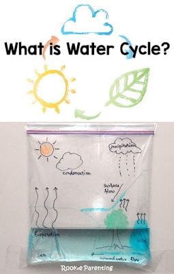 5 Great Water Cycle Activities And Lessons, Labeling The Water Cycle
