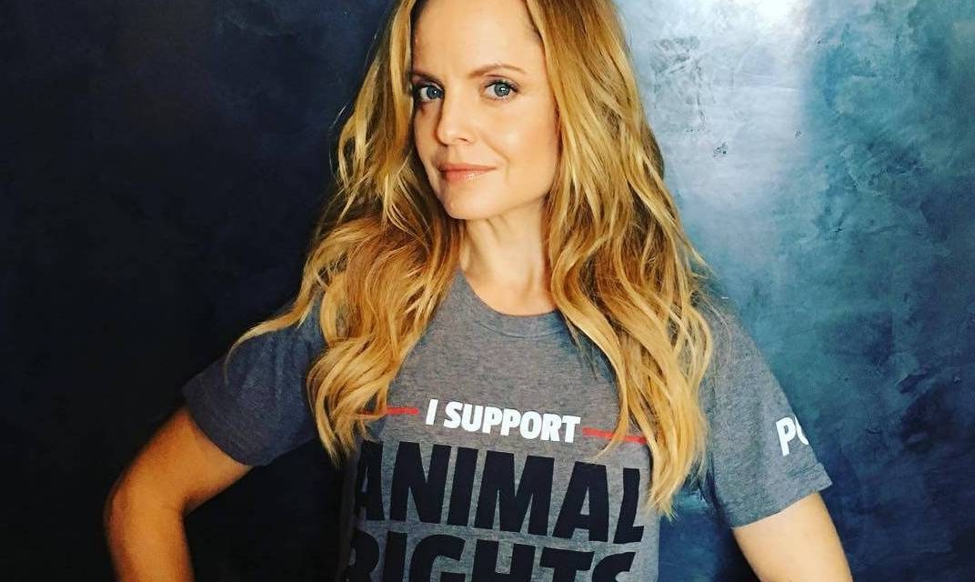 Exclusive Interview With Mena Suvari: American Vegan - Eluxe Magazine