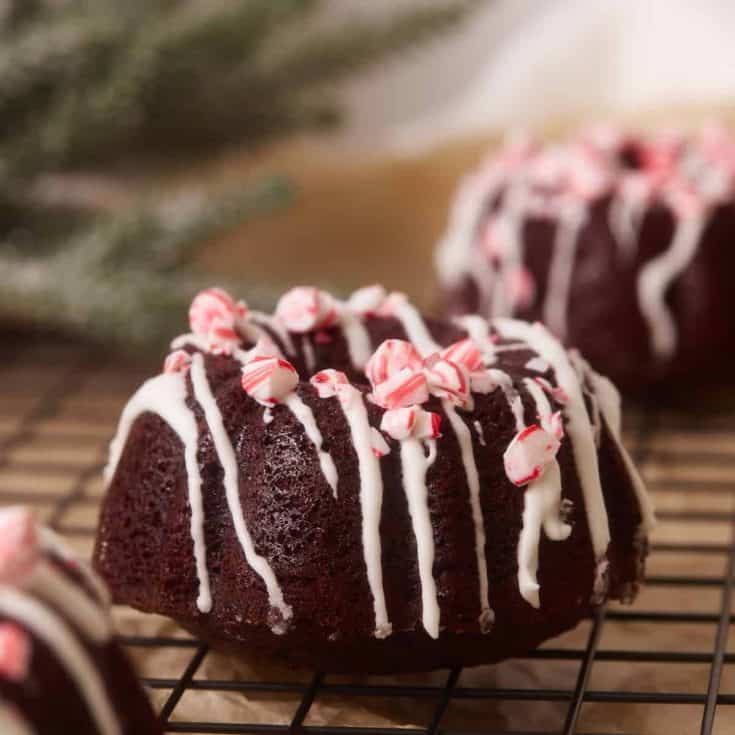 Chocolate Peppermint Mini Bundt Cakes • FoodnService