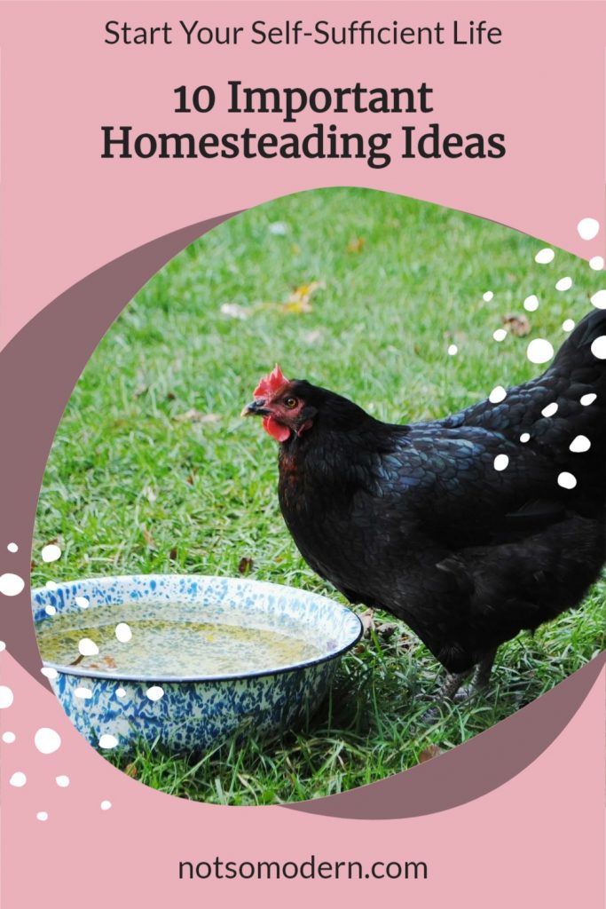 10 Important Homesteading Ideas to Start Your Self-Sufficient Life