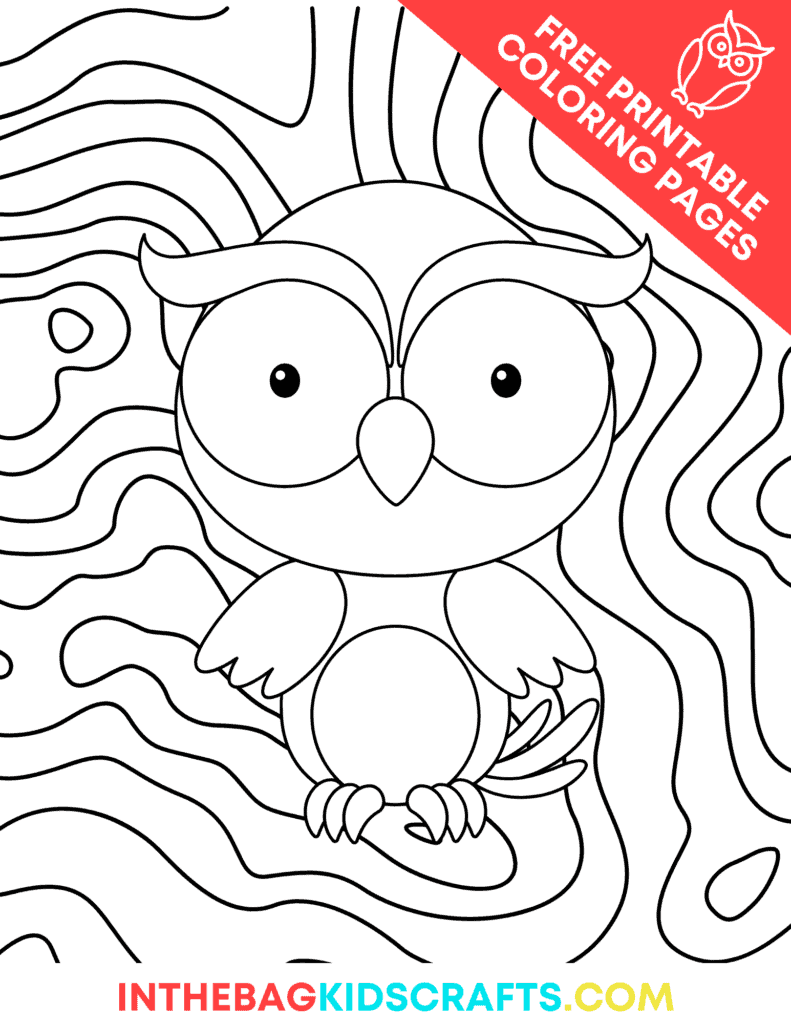 free printable cool detailed coloring pages owls