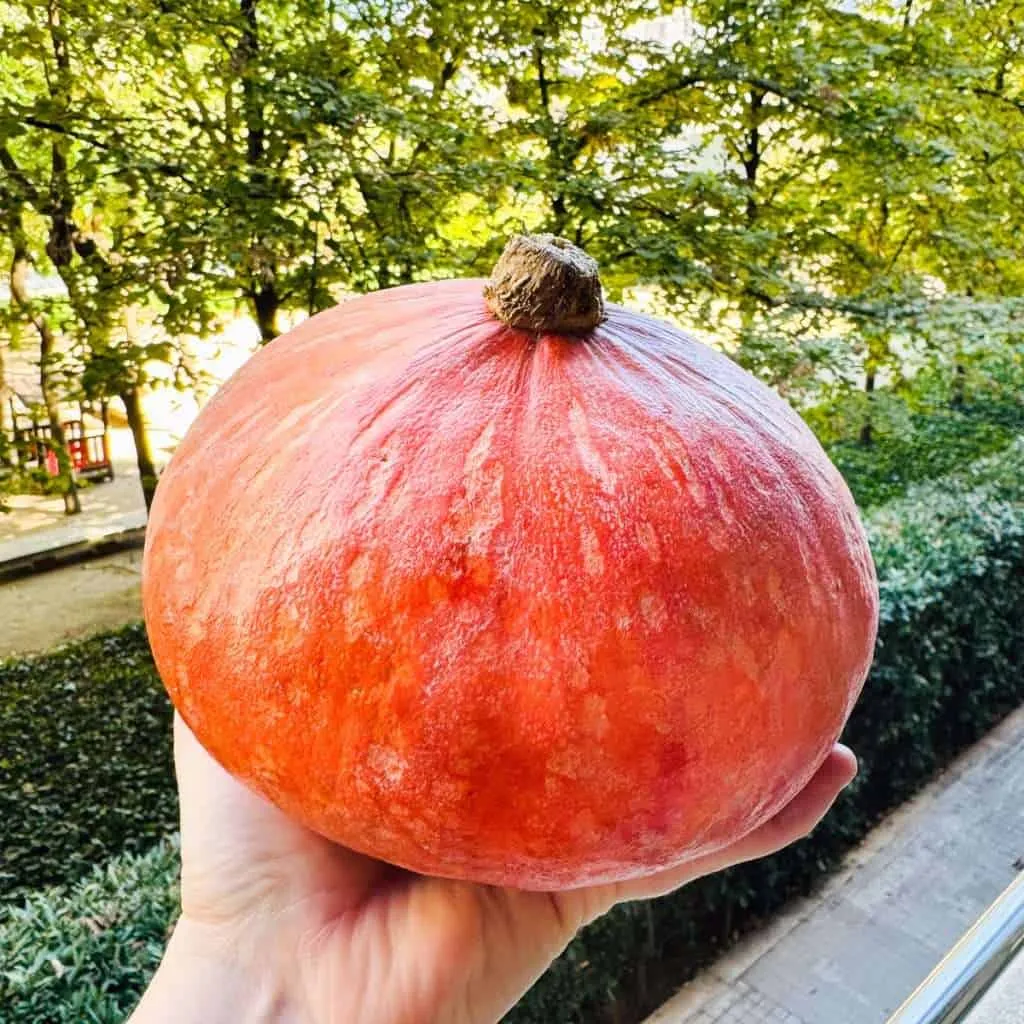 Red Kuri Squash and Chicken Curry (Mildly Spicy) - Little Nomads Recipes