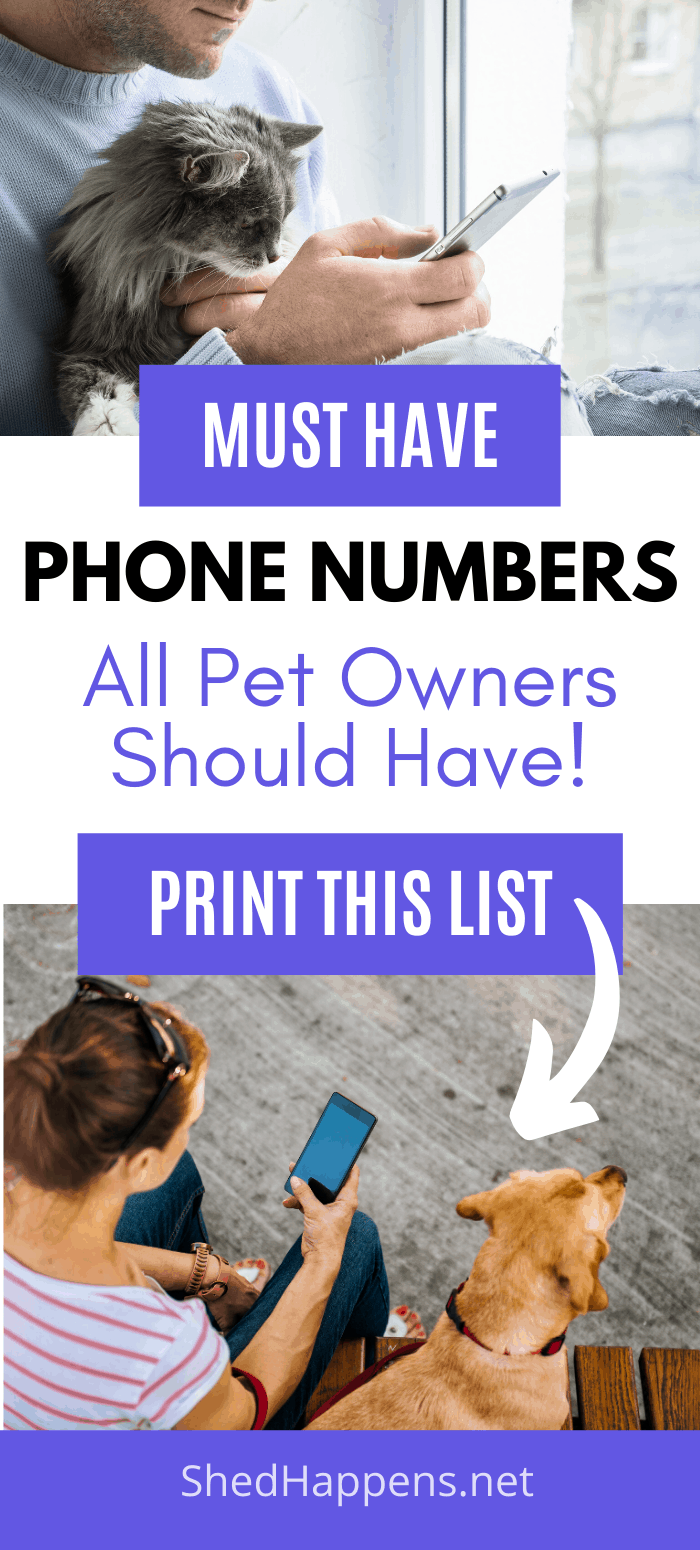 6 Phone Numbers Every Pet Owner Should Have On Hand - Shed Happens