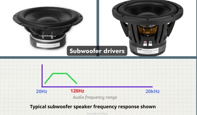 What are the different types of speakers? (Full guide with examples)