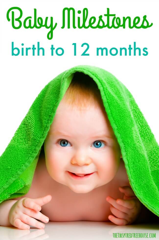 Baby Stages Month By Month