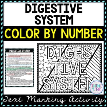 Digestive System Color by Number, Reading Passage and Text Marking