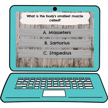 Muscular System Interactive Google Slides™ Presentation | Digital