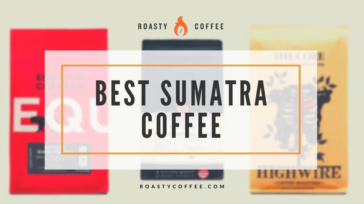 The 11 Best Sumatra Coffees of 2025: A Buyers Guide