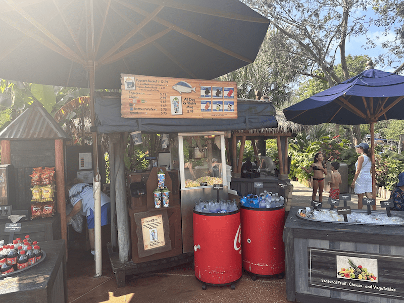 10 Reasons Why You Need to Spend a Day at Disney's Typhoon Lagoon