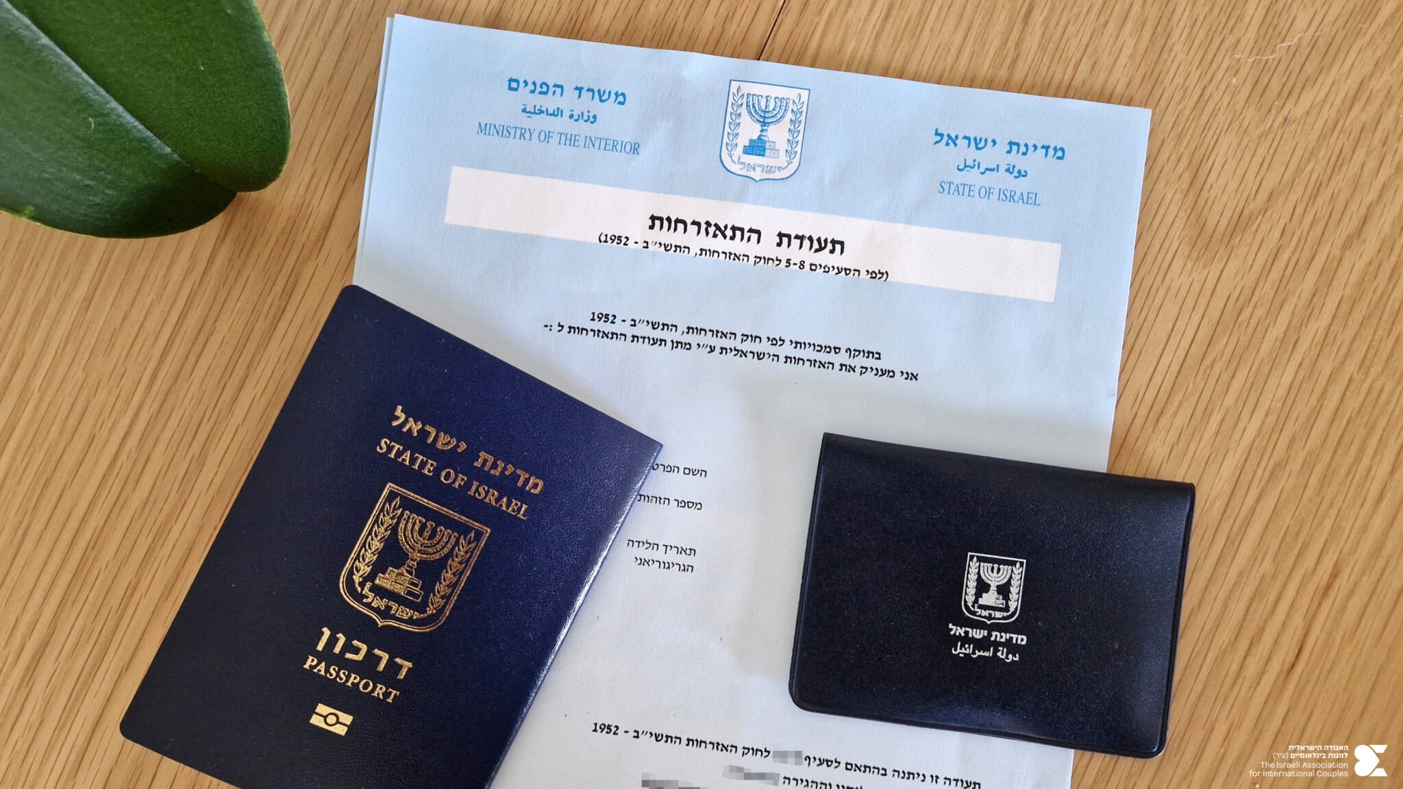 Israeli Citizenship for Partners of Israelis: How to Apply | AIC